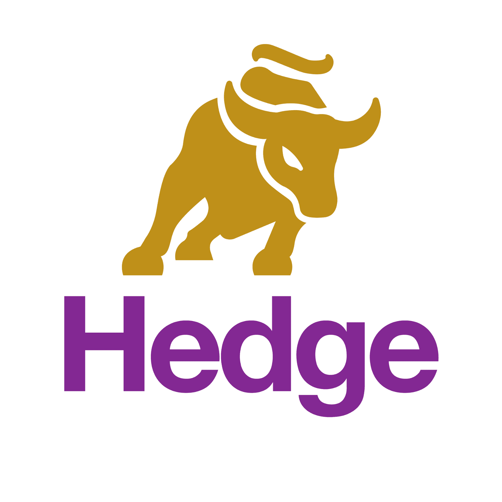 Hedge Group of Companies | കാര്യം സാമ്പത്തികമാണ്